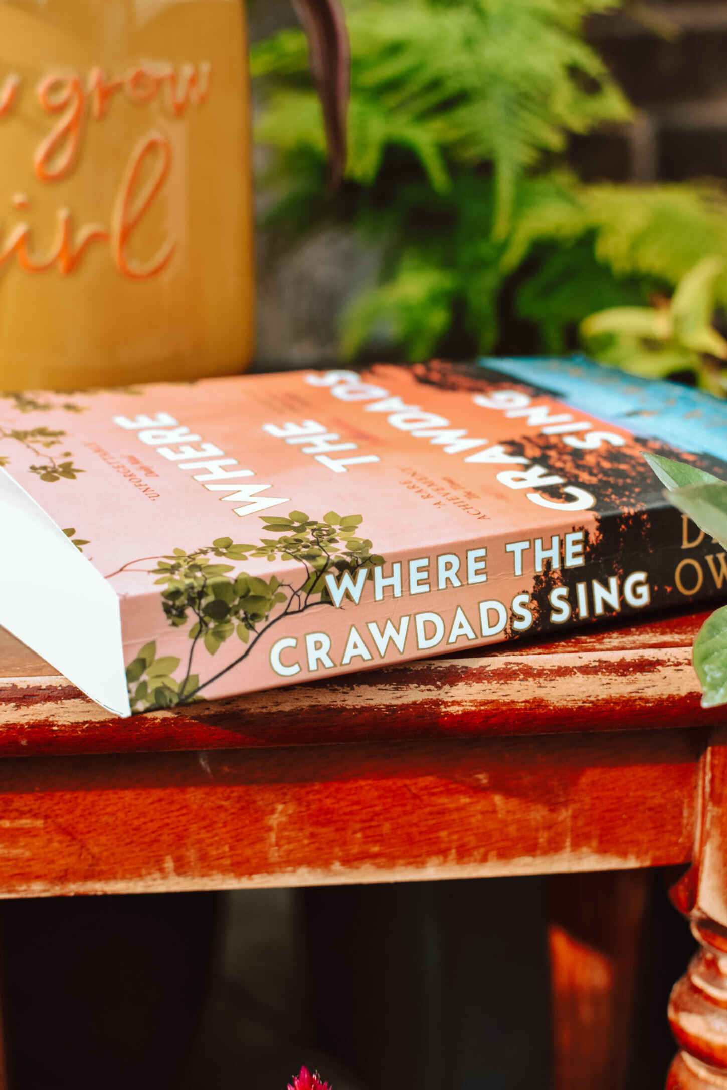 Where The Crawdads Sing by Delia Owens - book review - BEFFSHUFF