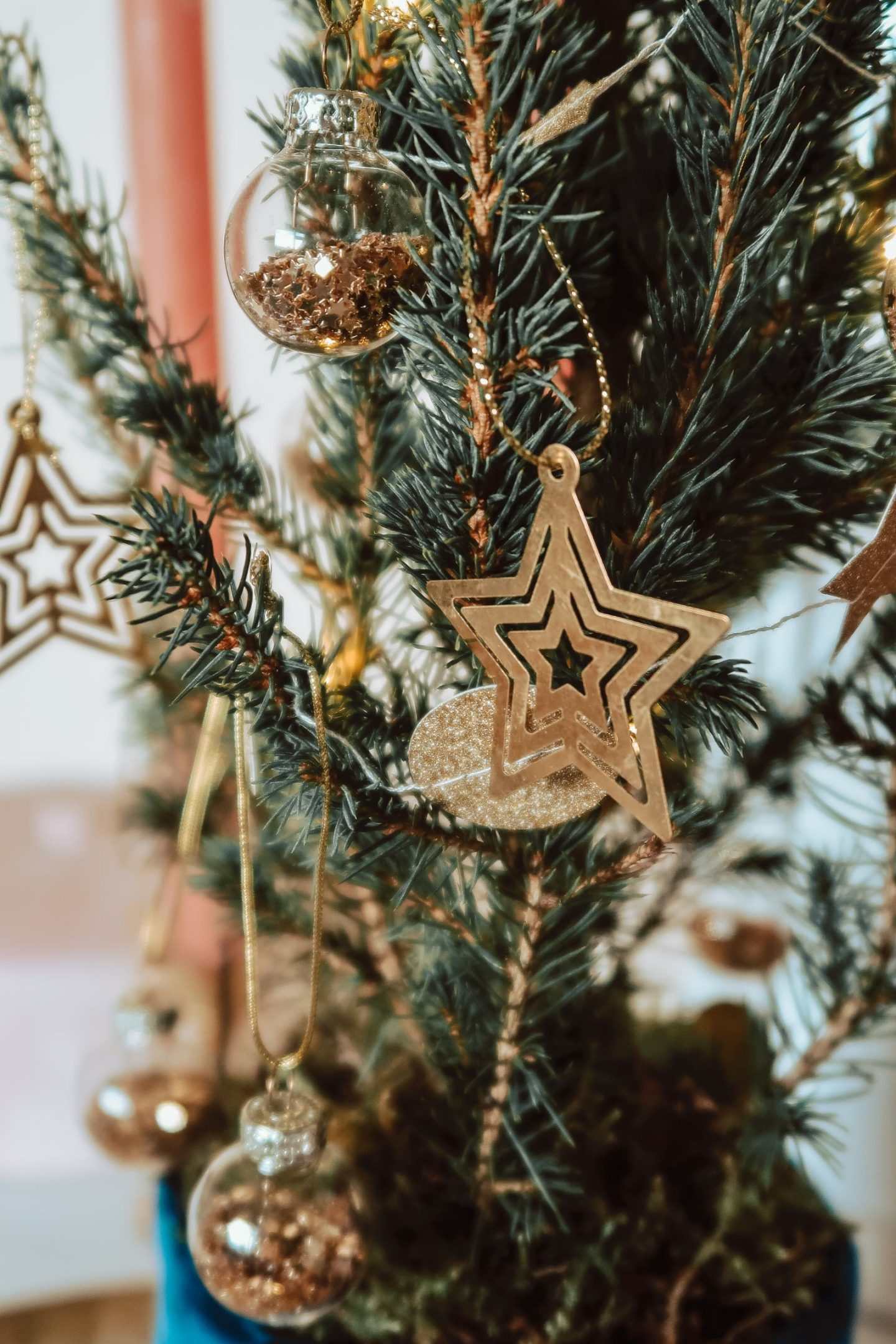 Everything you need to know about the Bloom and Wild mini Christmas ...