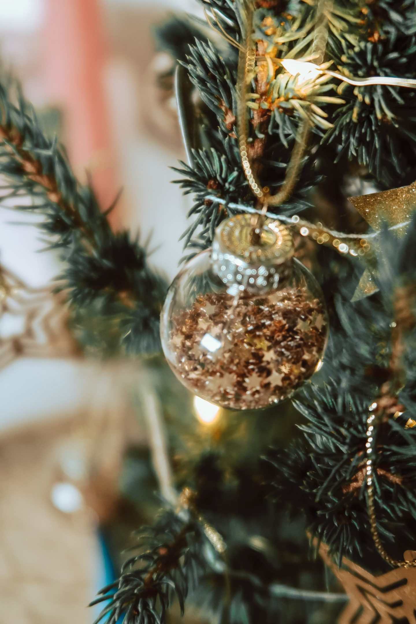 Everything you need to know about the Bloom and Wild mini Christmas ...