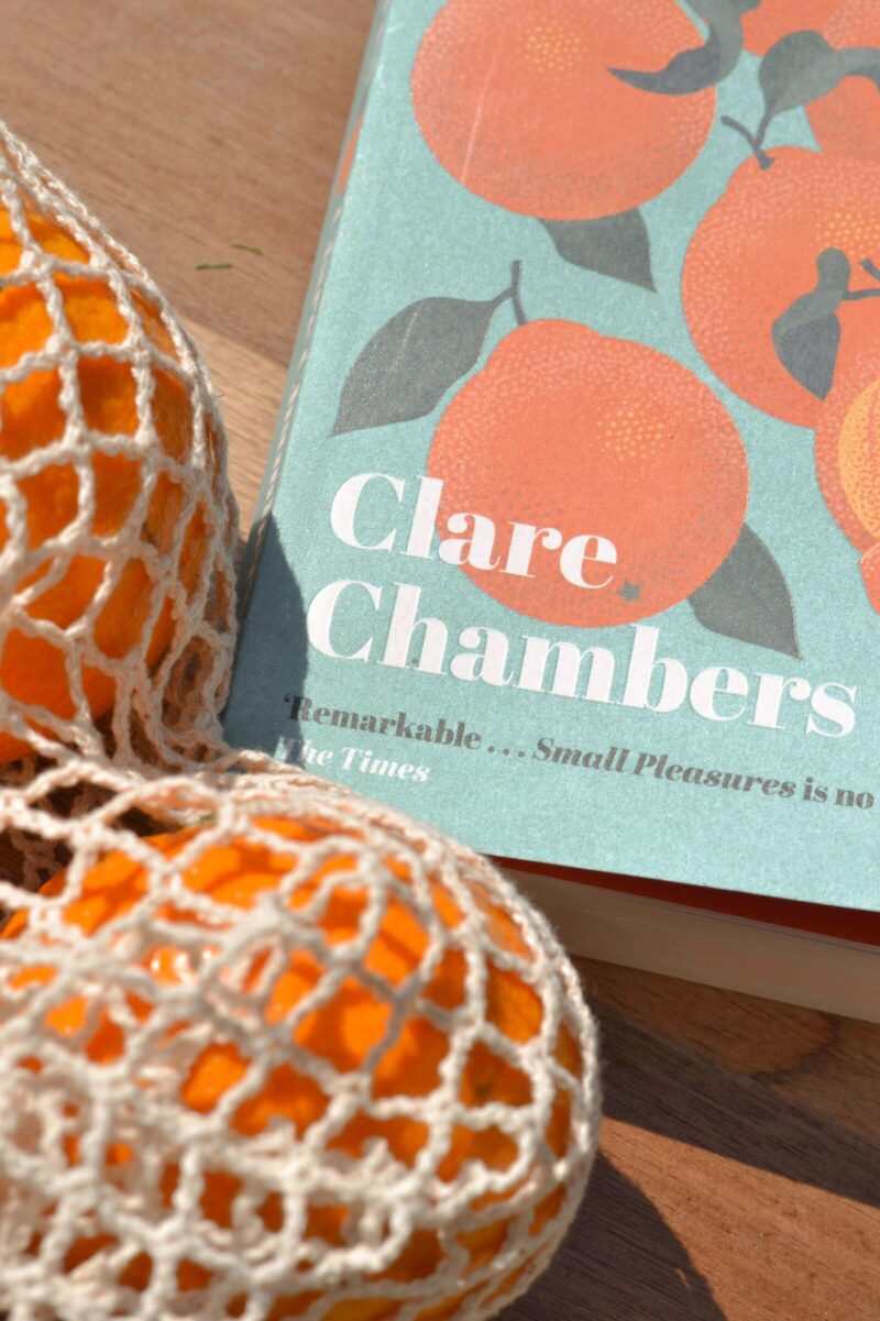 Small Pleasures by Clare Chambers - book review - BEFFSHUFF